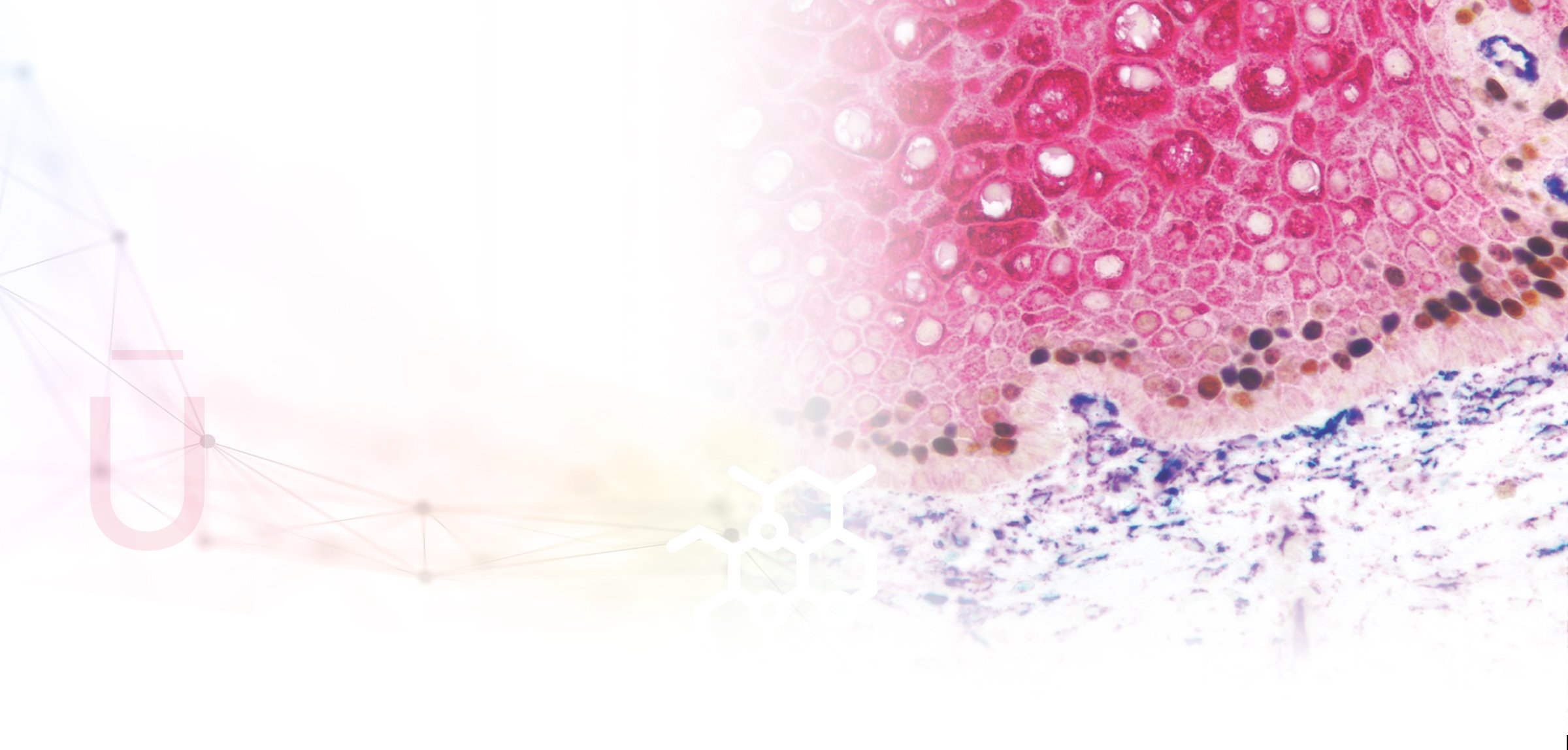 Immunohistochemistry & Digital Pathology