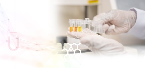 Custom Assays Validation